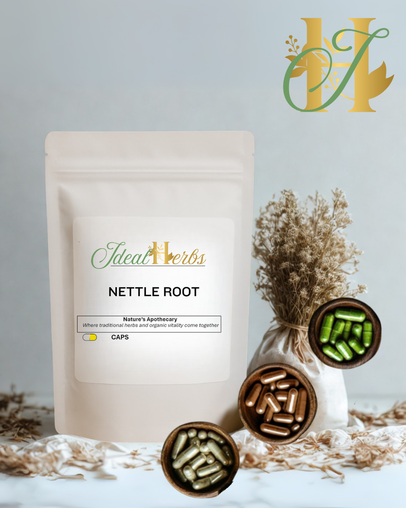 Nettle Root Capsules Medium – Ideal Herbs